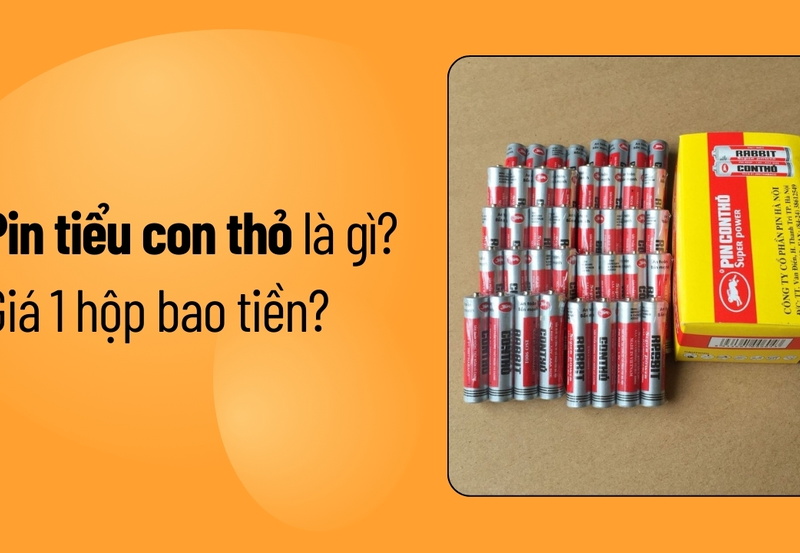 Pin tiểu con thỏ là gì? Giá 1 hộp pin tiểu con thỏ